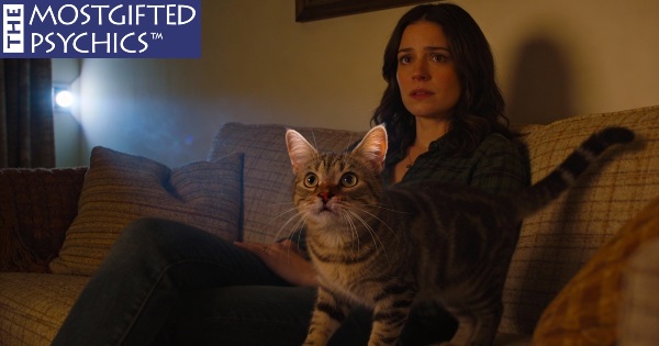 Are Cats Intuitive? How Your Cat Knows Things Before You Do - Most Gifted